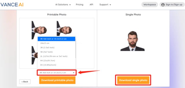 How To Convert Photo To Passport Size With VanceAI how-to-convert-photo-to-passport-size-with-vanceai